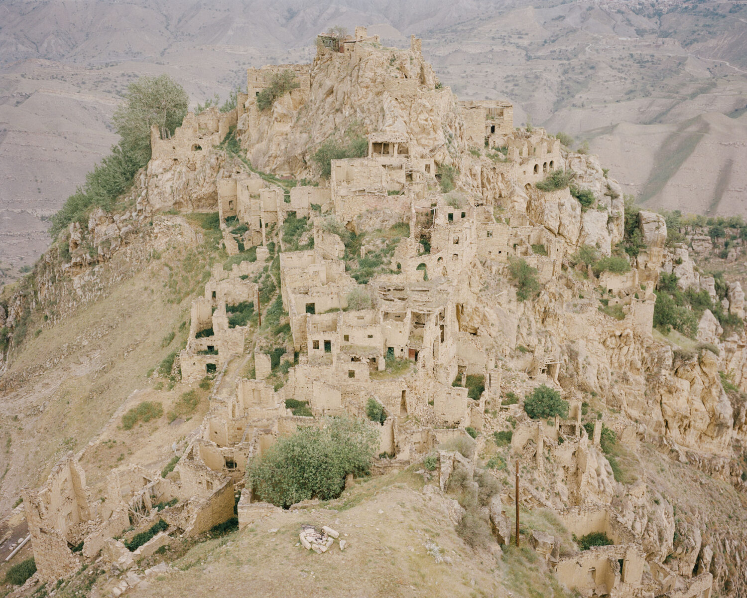 Opportunist – Nanna Heitmann